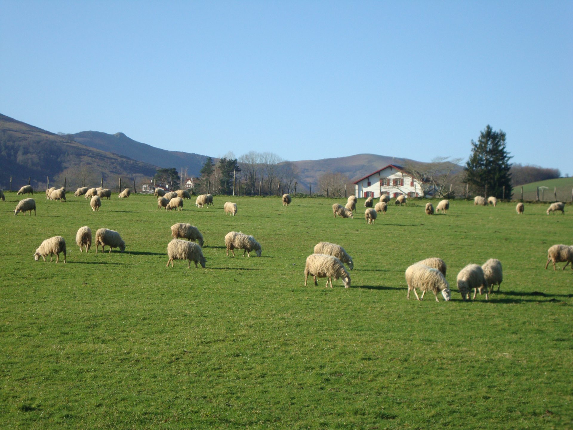Private Tour: The French Basque Countryside | Baskme